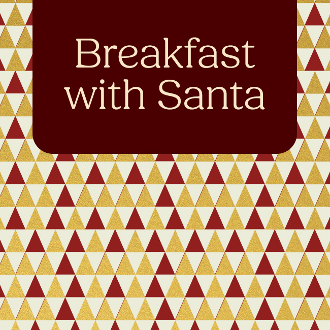 A Magical Christmas 2025 in Birmingham | The White Swan